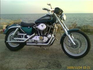 1982 Harley-Davidson® XLS Sportster® Roadster® for Sale in ABRAMS, WI ...