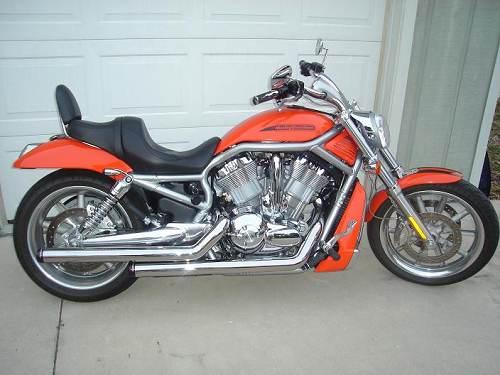 2006 Harley-Davidson® VRSCA V-Rod® for Sale in Sorrento, FL (Item 53724)