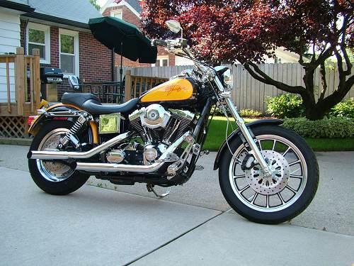2000 Harley-Davidson® FXDL Dyna® Low Rider for Sale in Royal Oak, MI ...