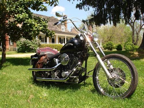 1997 Harley-Davidson® FXSTC Softail® Custom for Sale in Tracys landing ...