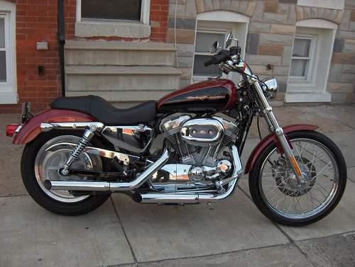 2006 Harley-Davidson® XL883C Sportster® 883 Custom for Sale in ...