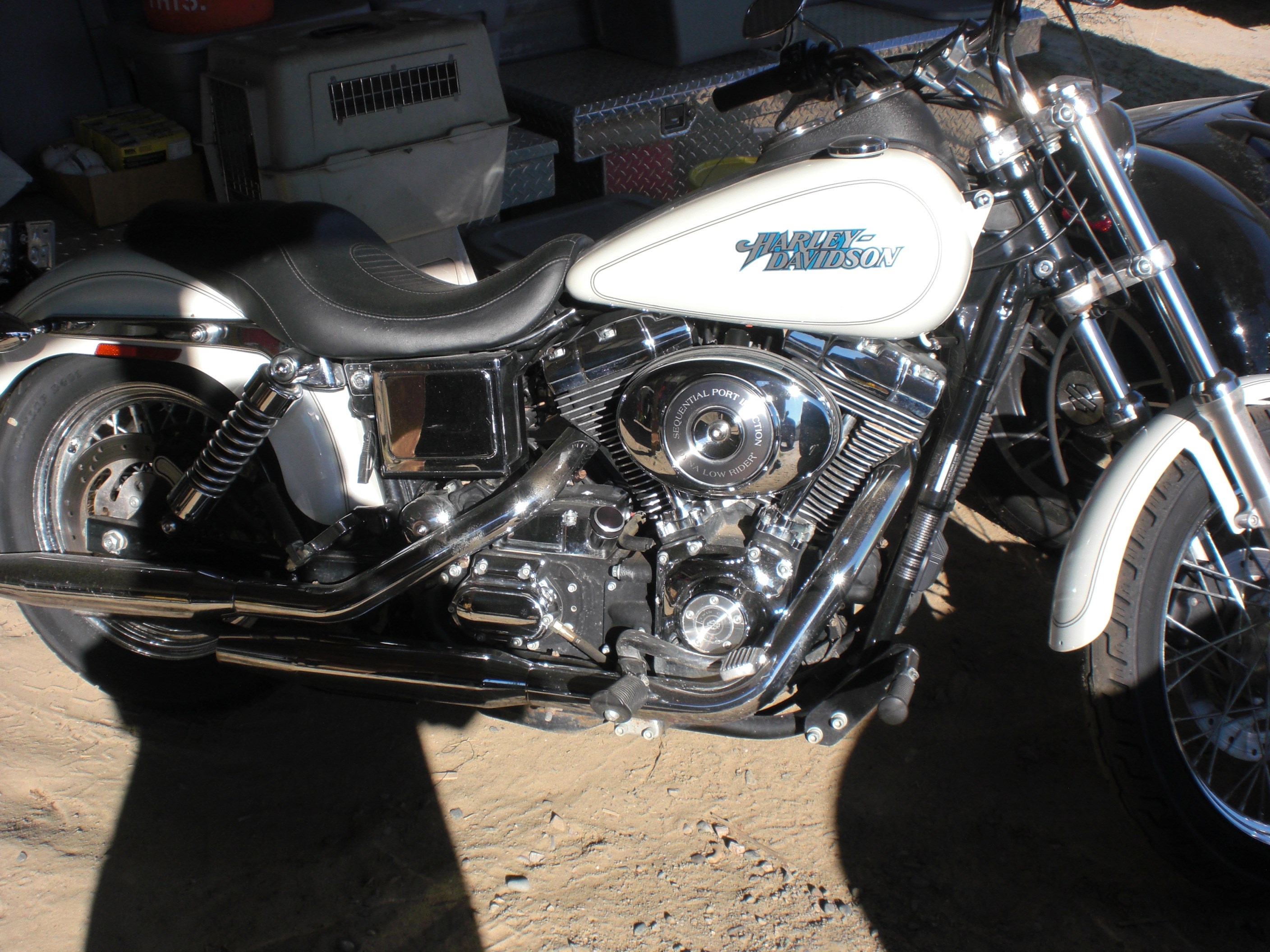 2004 Harley-Davidson® FXDL/I Dyna Low Rider® for Sale in Bloomfield, NM ...