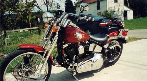 1995 Harley-Davidson® FXSTS Springer® Softail® for Sale in Williamstown ...