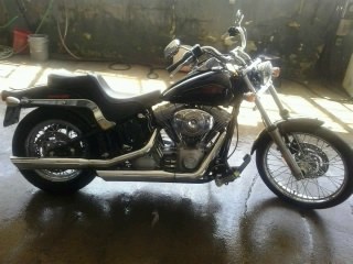 2005 Harley-Davidson® FXST/I Softail® Standard for Sale in Anderson, IN ...