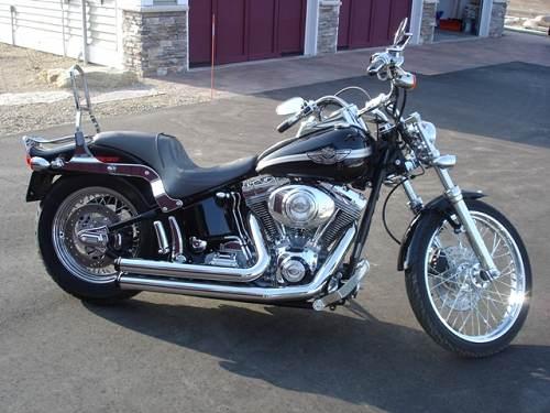 2003 Harley-Davidson® FXST/I Softail® Standard for Sale in Hudson, WI ...