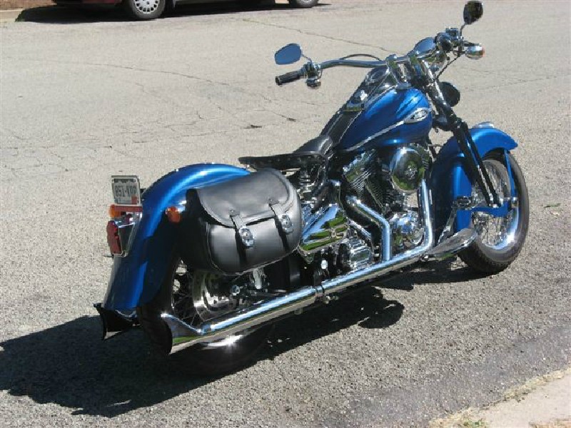 2005 Harley-Davidson® FLSTSC/I Softail® Springer® Classic for Sale in ...