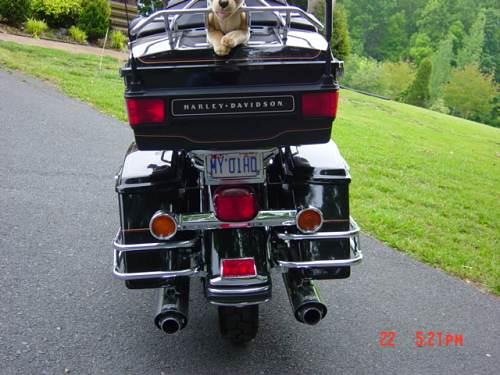 2001 Harley-Davidson® FLHTCU/I Ultra Classic® Electra Glide® for Sale ...