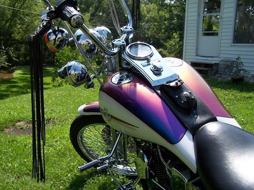 1992 Harley-Davidson® FXSTS Softail® Springer® for Sale in Swanton, OH ...