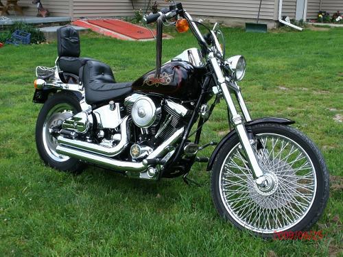 1999 Harley-Davidson® FXSTC Softail® Custom for Sale in Towanda, PA ...