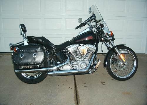 2001 Harley-Davidson® FXST/I Softail® Standard for Sale in Cottage ...