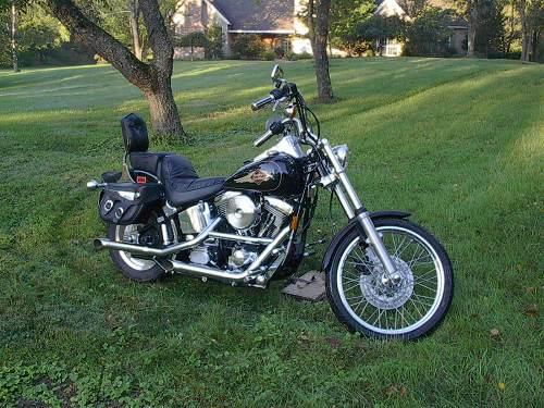 1997 Harley-Davidson® FXSTC Softail® Custom for Sale in New Hope , PA ...