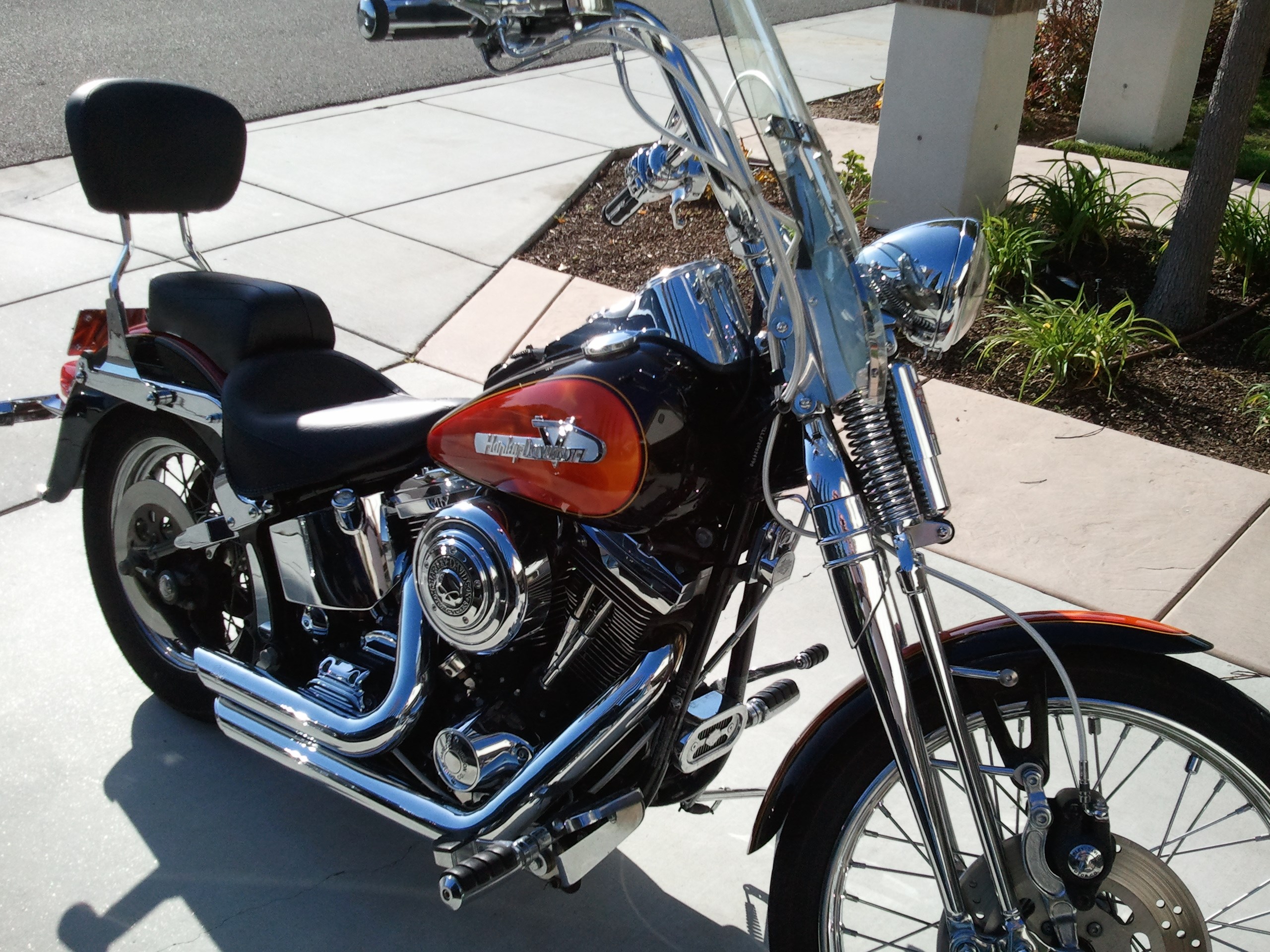 1999 Harley-Davidson® FXSTS Springer® Softail® for Sale in San Marcos ...