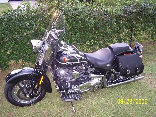 2005 Harley-Davidson® FLSTSC/I Softail® Springer® Classic for Sale in ...