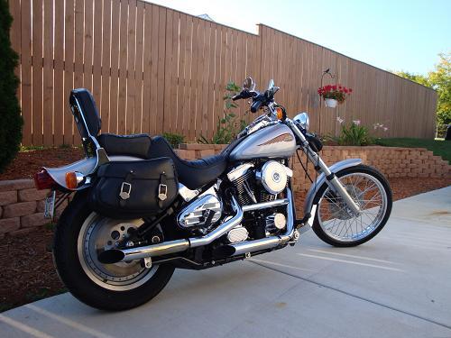 1999 Harley-Davidson® FXSTC Softail® Custom for Sale in Stoughton, WI ...