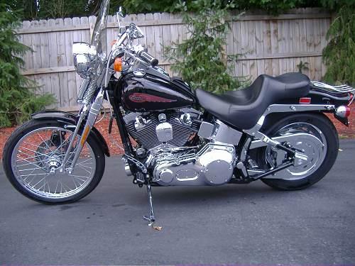2001 Harley-Davidson® FXSTS/I Springer® Softail® for Sale in Mason, MI ...