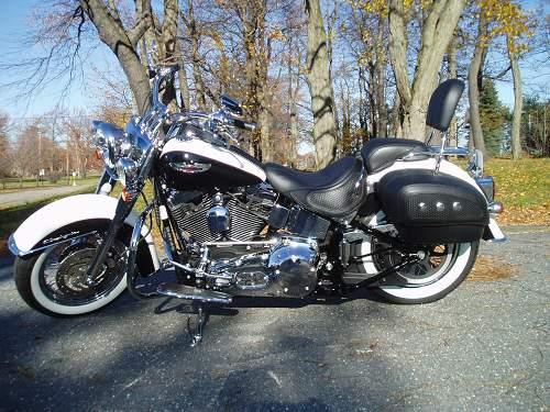 2006 Harley-Davidson® FLSTN/I Softail® Deluxe for Sale in Ft Monmouth ...