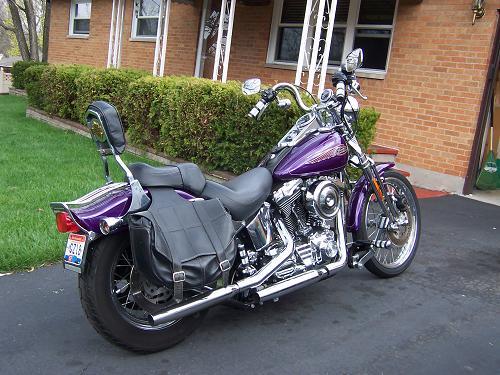 2000 Harley-Davidson® FXSTS Softail® Springer® for Sale in Dayton, OH ...