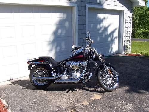 2005 Harley-Davidson® FXST/I Softail® Standard for Sale in Suttons Bay ...
