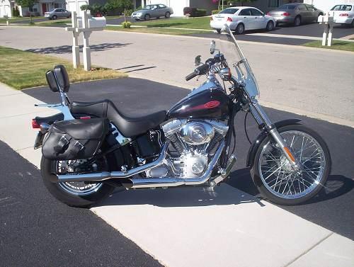 2002 Harley-Davidson® FXST/I Softail® Standard for Sale in Lake in the ...