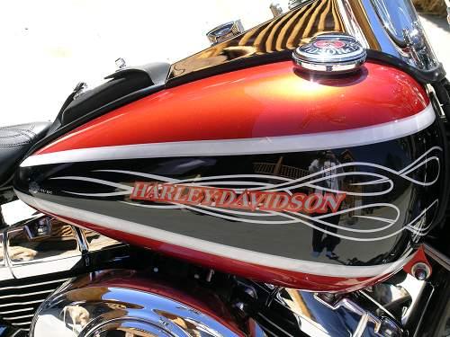 2004 Harley-Davidson® FXSTS/I Springer® Softail® for Sale in ...