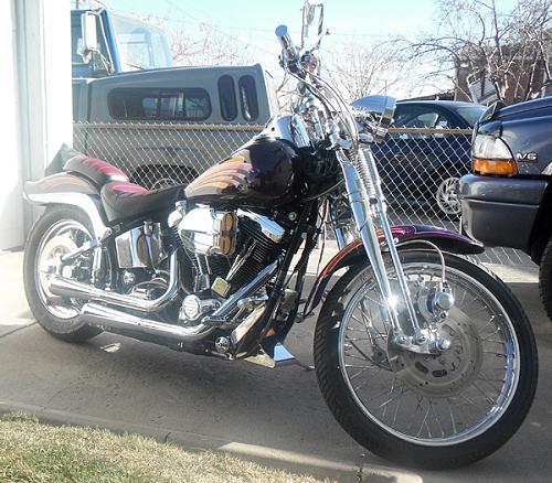 1992 Harley-Davidson® FXSTS Softail® Springer® for Sale in Denver, CO ...