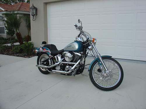 1994 Harley-Davidson® FXSTC Softail® Custom for Sale in Parrish, FL ...