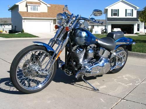2003 Harley-Davidson® FXSTS/I Springer® Softail® for Sale in ANKENY, IA ...