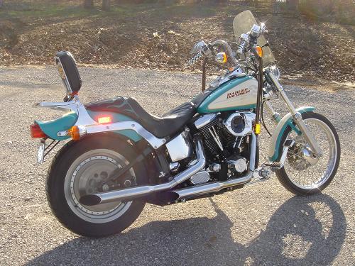 1993 Harley-Davidson® FXSTC Softail® Custom for Sale in Eddyville, KY ...