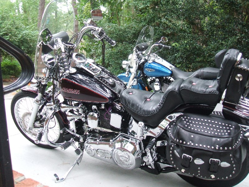 1994 Harley-Davidson® FXSTC Softail® Custom for Sale in Columbia, SC ...
