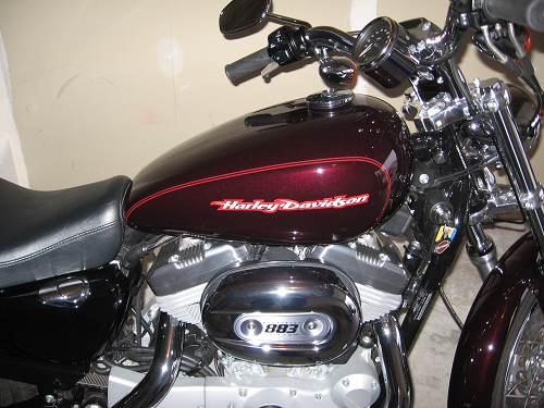 2005 Harley-Davidson® XL883C Sportster® 883 Custom for Sale in Shepherd ...