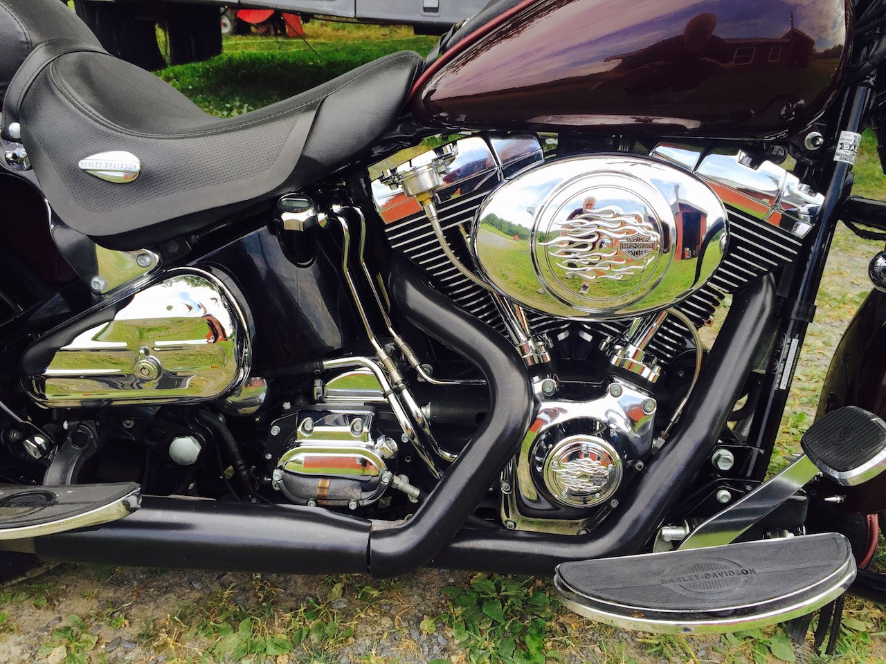 2005 Harley-Davidson® FLSTSC/I Softail® Springer® Classic for Sale in ...