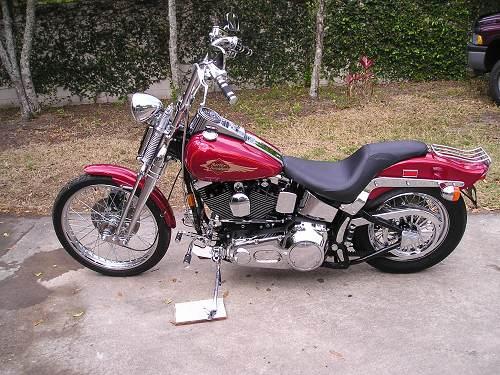 1995 Harley-Davidson® FXSTS Springer® Softail® for Sale in Winter Park ...