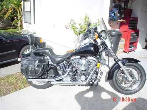 1991 Harley-Davidson® FXSTC Softail® Custom for Sale in Jacksonville ...