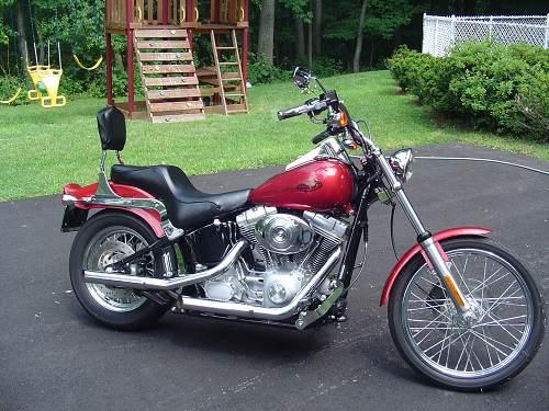 2004 Harley-Davidson® FXST/I Softail® Standard for Sale in Denville, NJ ...