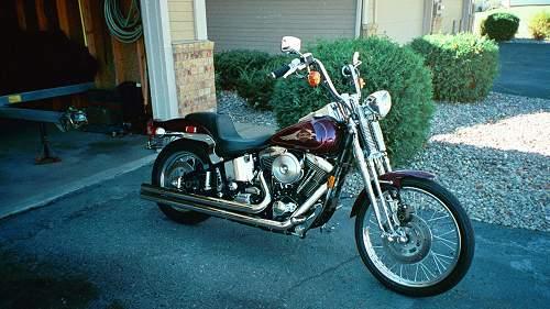 1996 Harley-Davidson® FXSTS Springer® Softail® for Sale in Ham Lake, MN ...