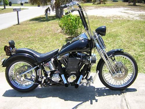 1996 Harley-Davidson® FXSTS Springer® Softail® for Sale in SPRING HILL ...
