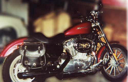 2004 Harley-Davidson® XLH-883 Sportster® 883 for Sale in Rochester, MN ...