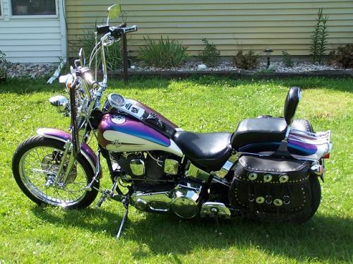 1992 Harley-Davidson® FXSTS Softail® Springer® for Sale in Swanton, OH ...