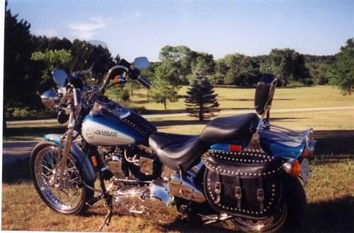 1994 Harley-Davidson® FXSTS Springer® Softail® for Sale in Onalaska, WI ...