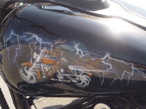 2000 Harley-Davidson® FXDS-CONV Dyna® Convertible for Sale in SUN ...