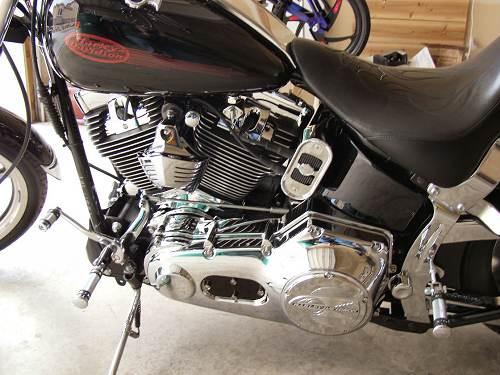 2002 Harley-Davidson® FXST/I Softail® Standard for Sale in Colorado ...