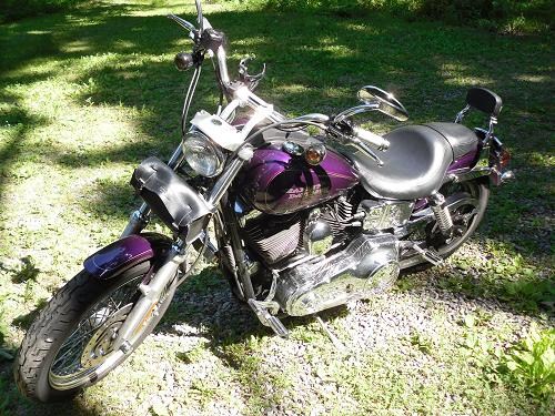2002 Harley-Davidson® FXDL Dyna Low Rider® for Sale in mansfield, MA ...