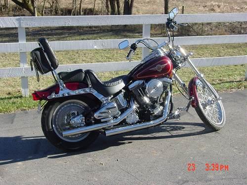 1998 Harley-Davidson® FXSTC Softail® Custom for Sale in Thompsons ...