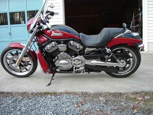 2006 Harley-Davidson® VRSCD V-Rod® Night Rod® for Sale in philadelphia ...