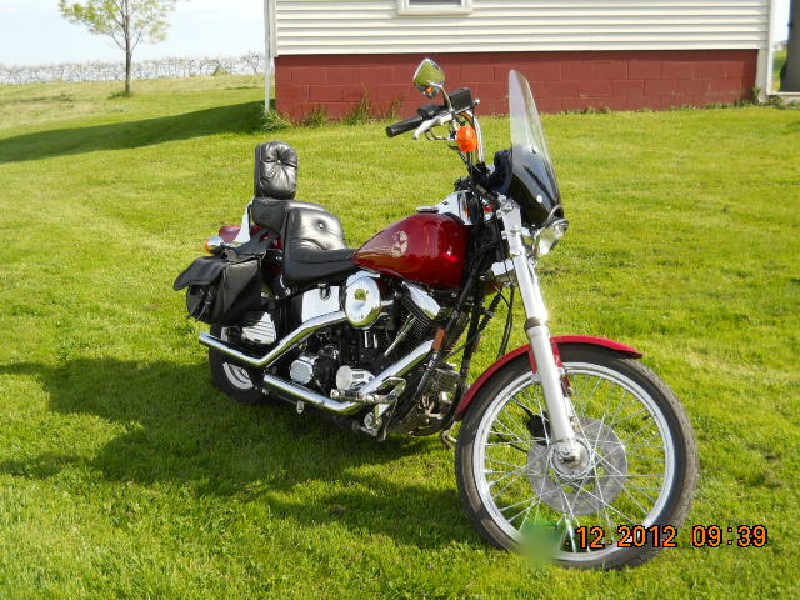 1994 Harley-Davidson® FXSTC Softail® Custom for Sale in Madison, OH ...