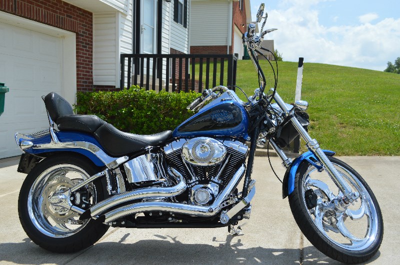 2008 Harley-Davidson® FXSTC Softail® Custom for Sale in Clarksville, TN ...