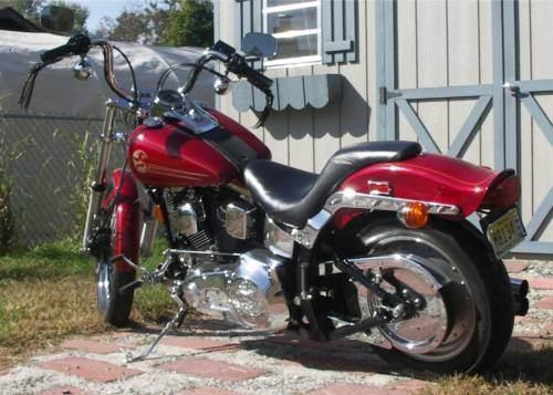 1994 Harley-Davidson® FXSTC Softail® Custom for Sale in Browns Mills ...