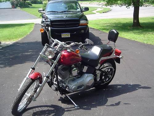 2004 Harley-Davidson® FXST/I Softail® Standard for Sale in Denville, NJ ...