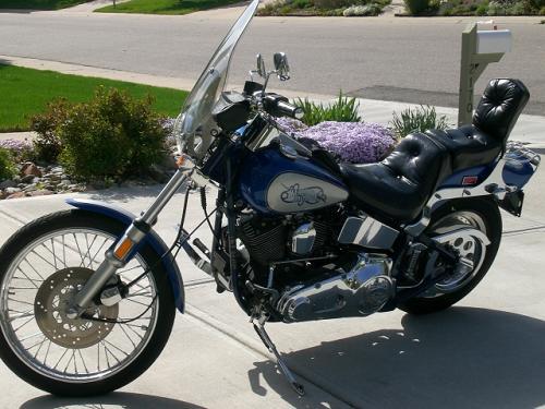 1989 Harley-Davidson® FXSTC Softail® Custom for Sale in Denver, CO ...