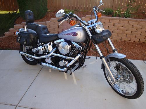 1999 Harley-Davidson® FXSTC Softail® Custom for Sale in Stoughton, WI ...